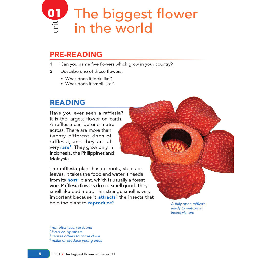 Active Reading 1 – DoMa Bookstore