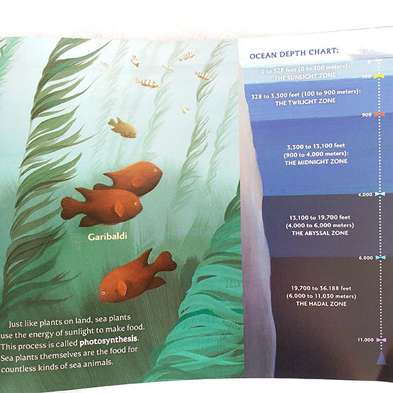 Let's-Read-and-Find-Out Science (stage 2): How Deep Is the Ocean ...