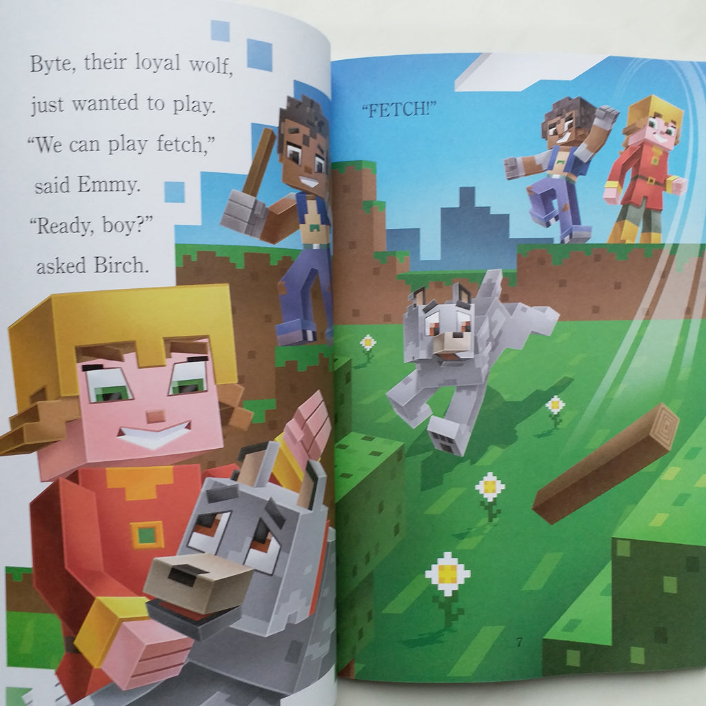 Minecraft Reader Set – DoMa Bookstore